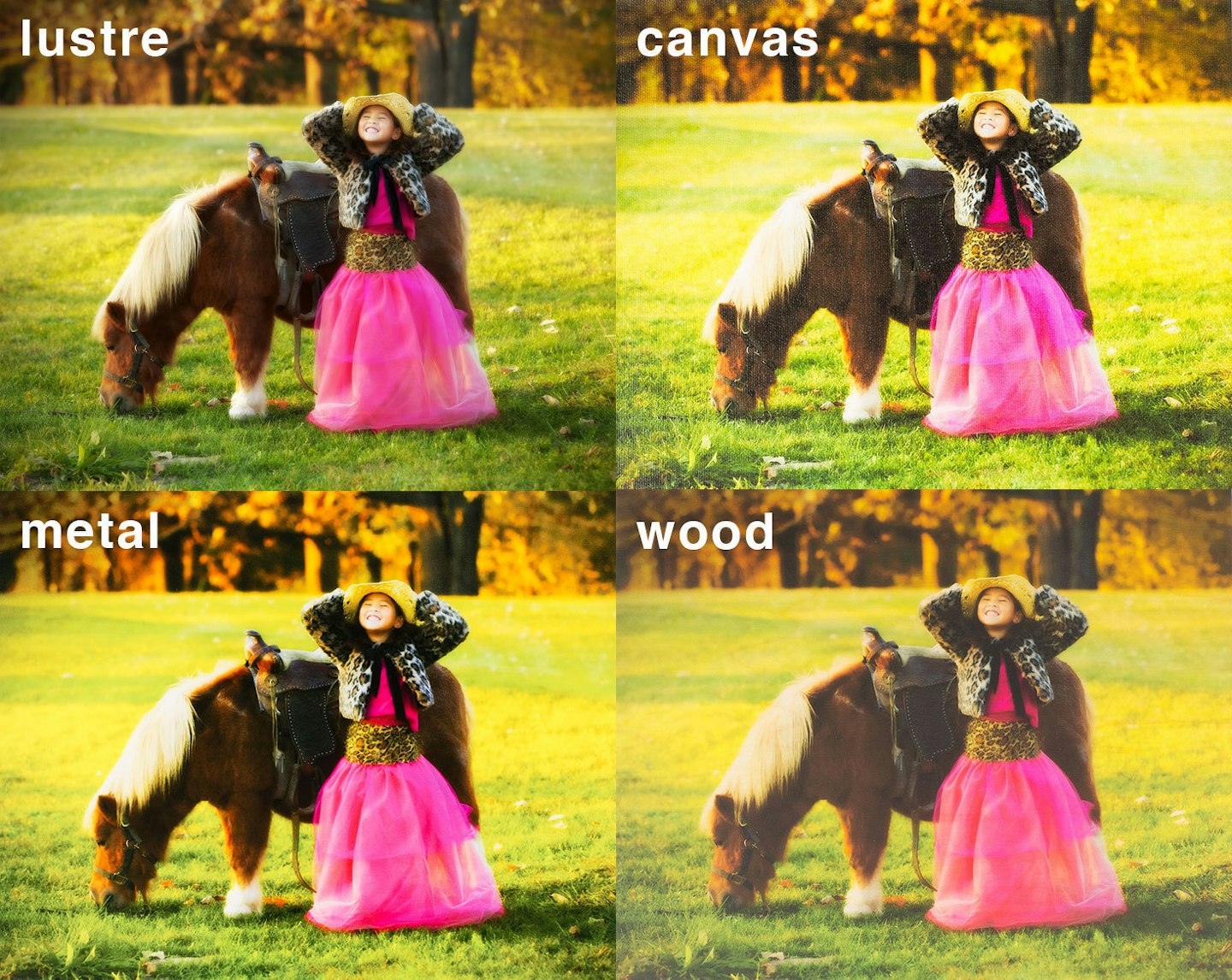 Print Surface Comparison - WHCC Help