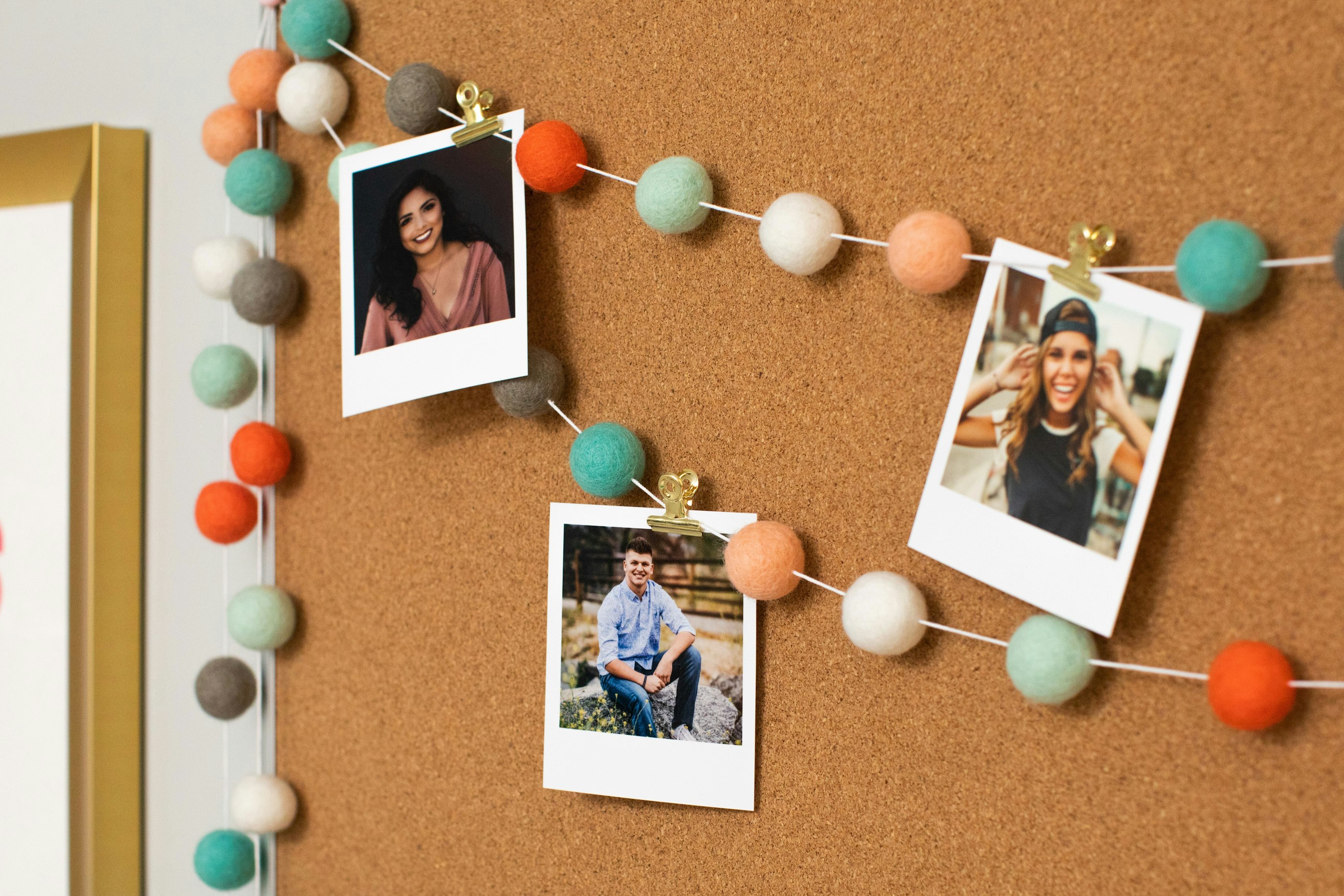 Mini Snapshots - WHCC