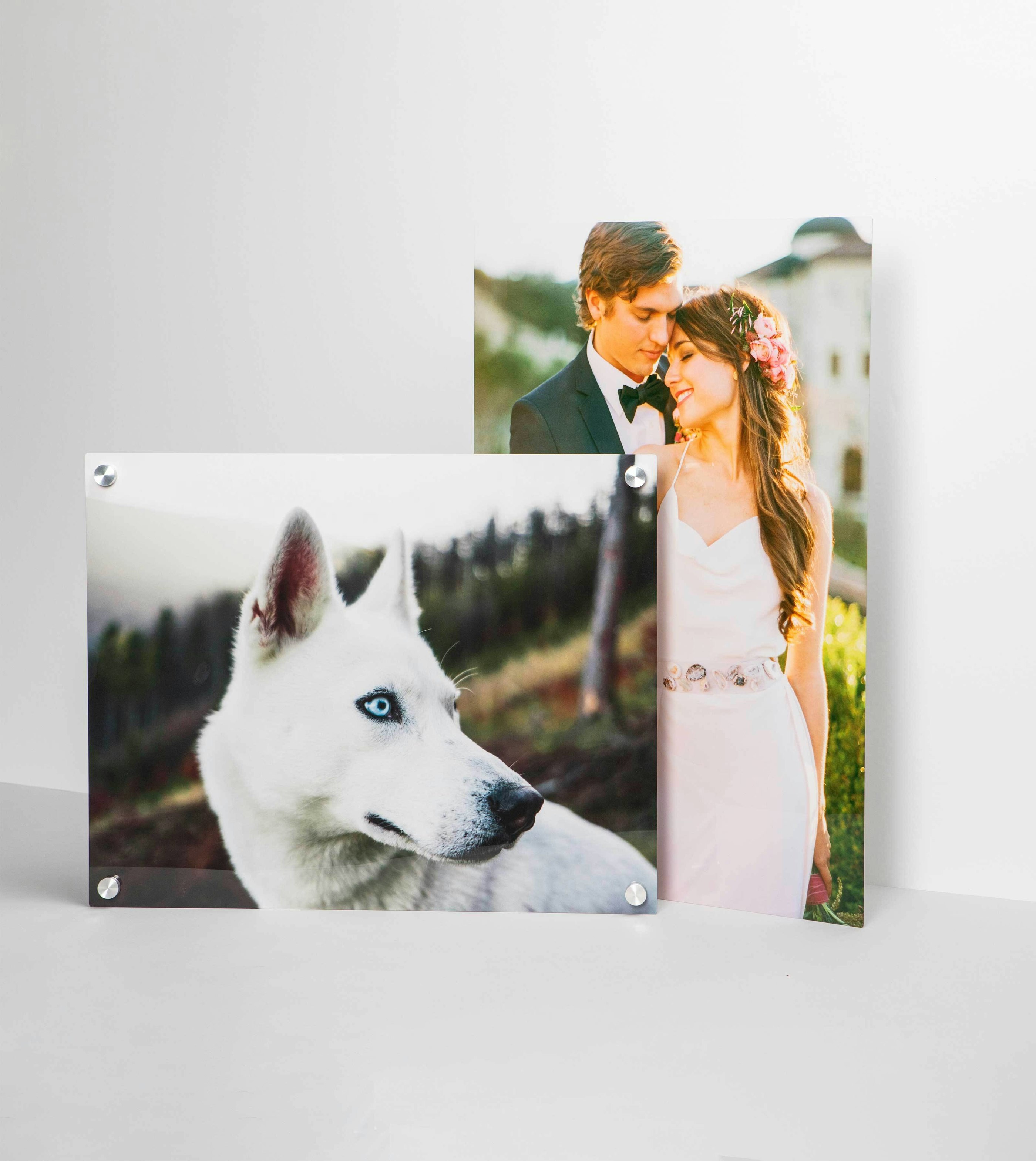 White House Custom Colour