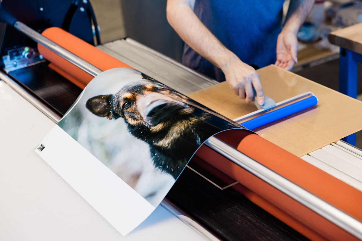 Acrylic Prints - WHCC