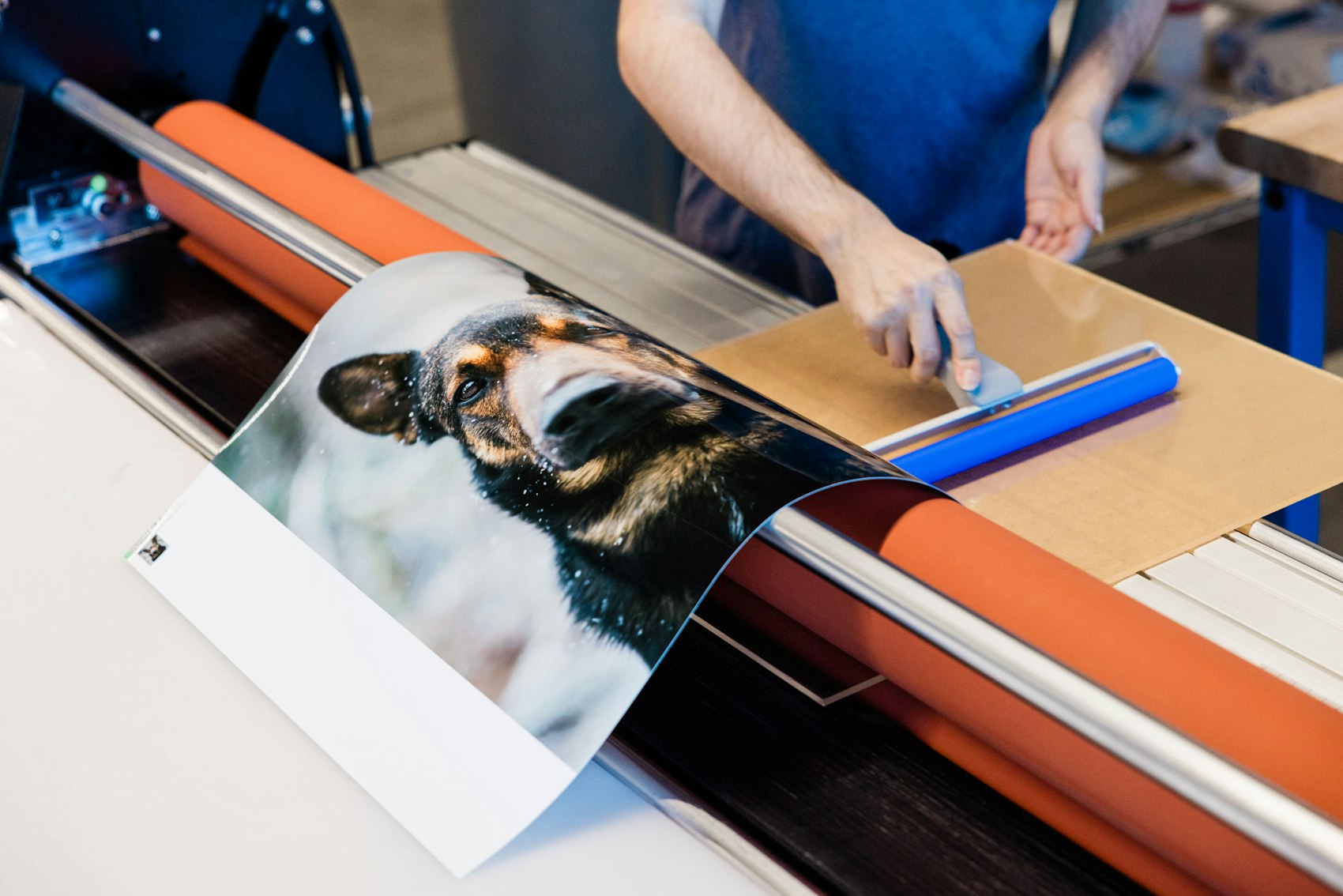 Acrylic Prints - WHCC