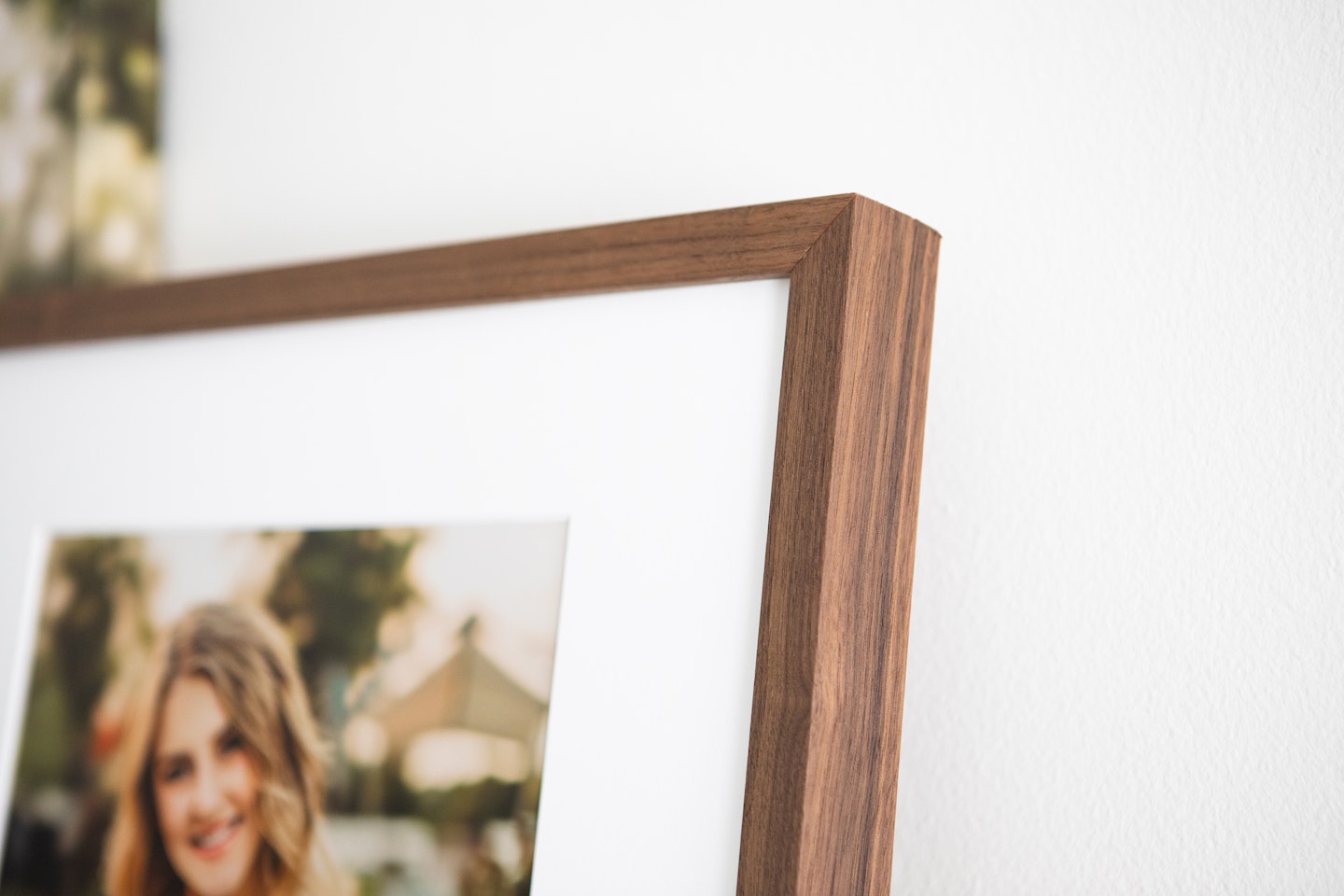 The Top 5 Frames for 2025 - WHCC