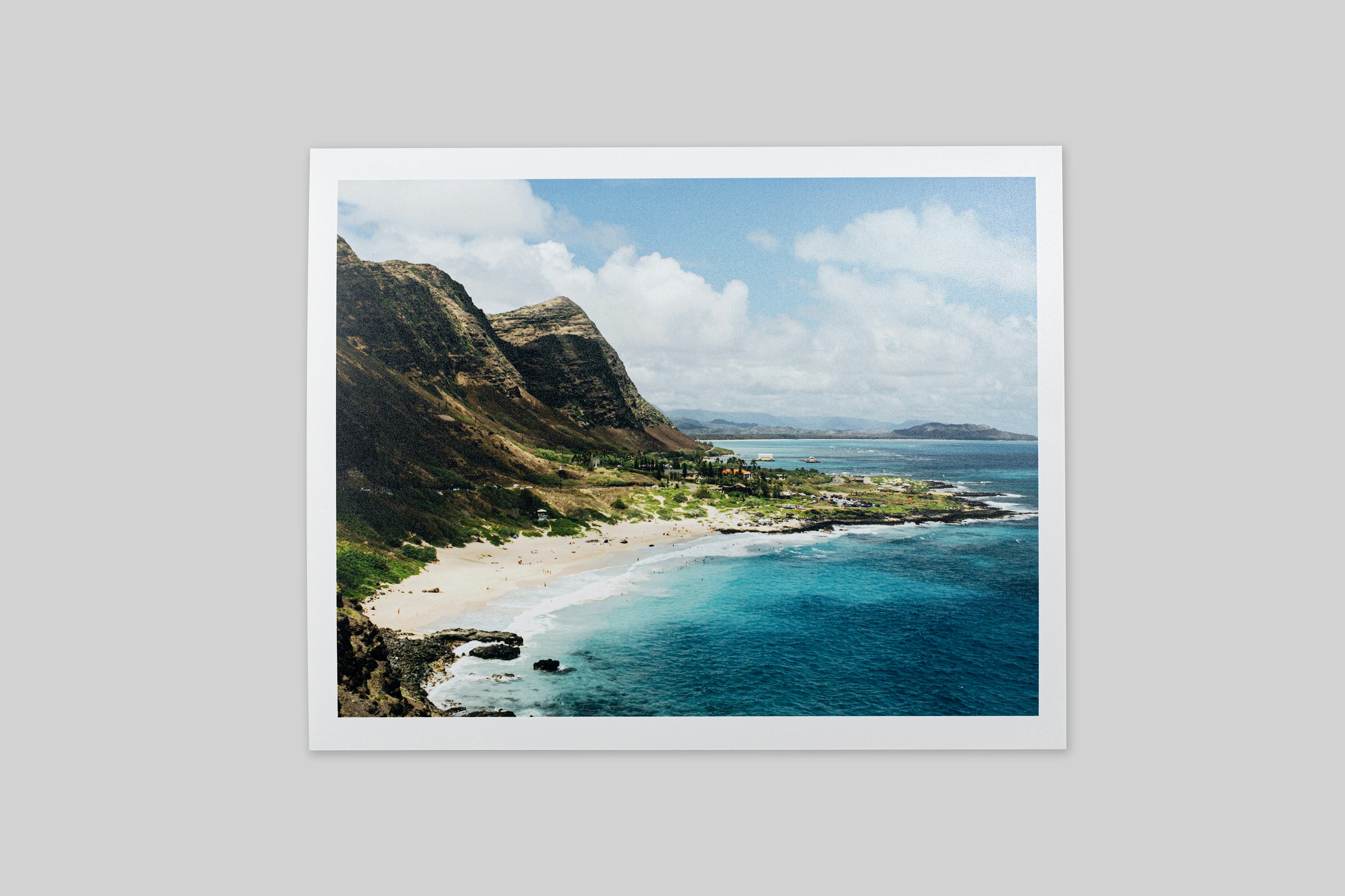 White House Custom Colour