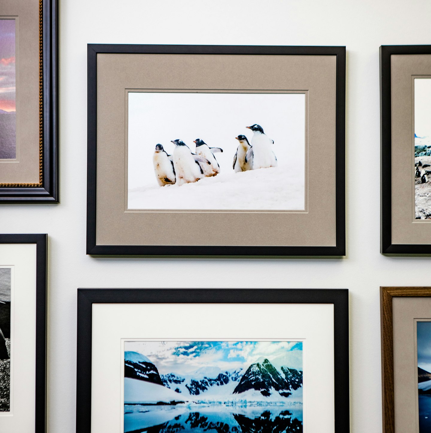 The Best Products to Display Your Nature and Landscape… - WHCC