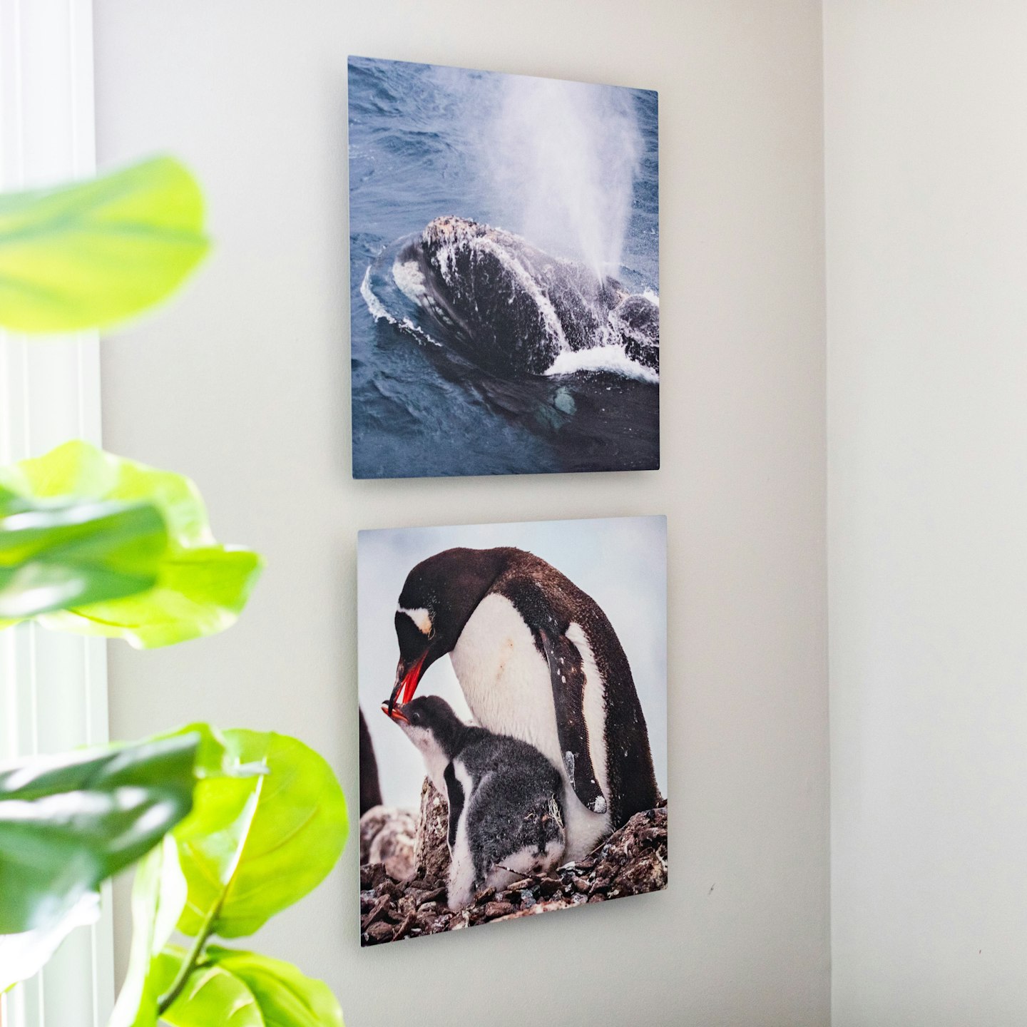 The Best Products to Display Your Nature and Landscape… - WHCC