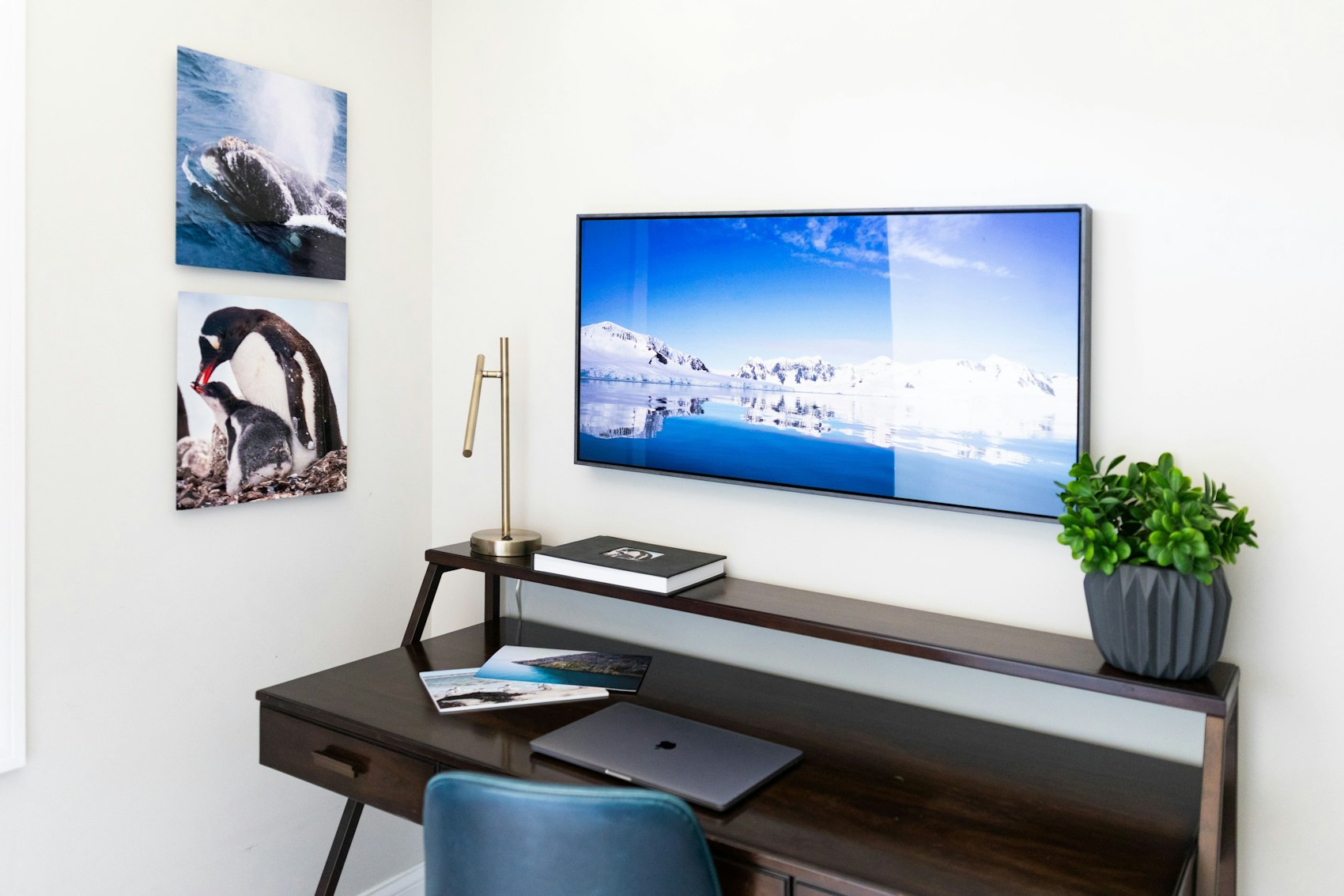 White House Custom Colour