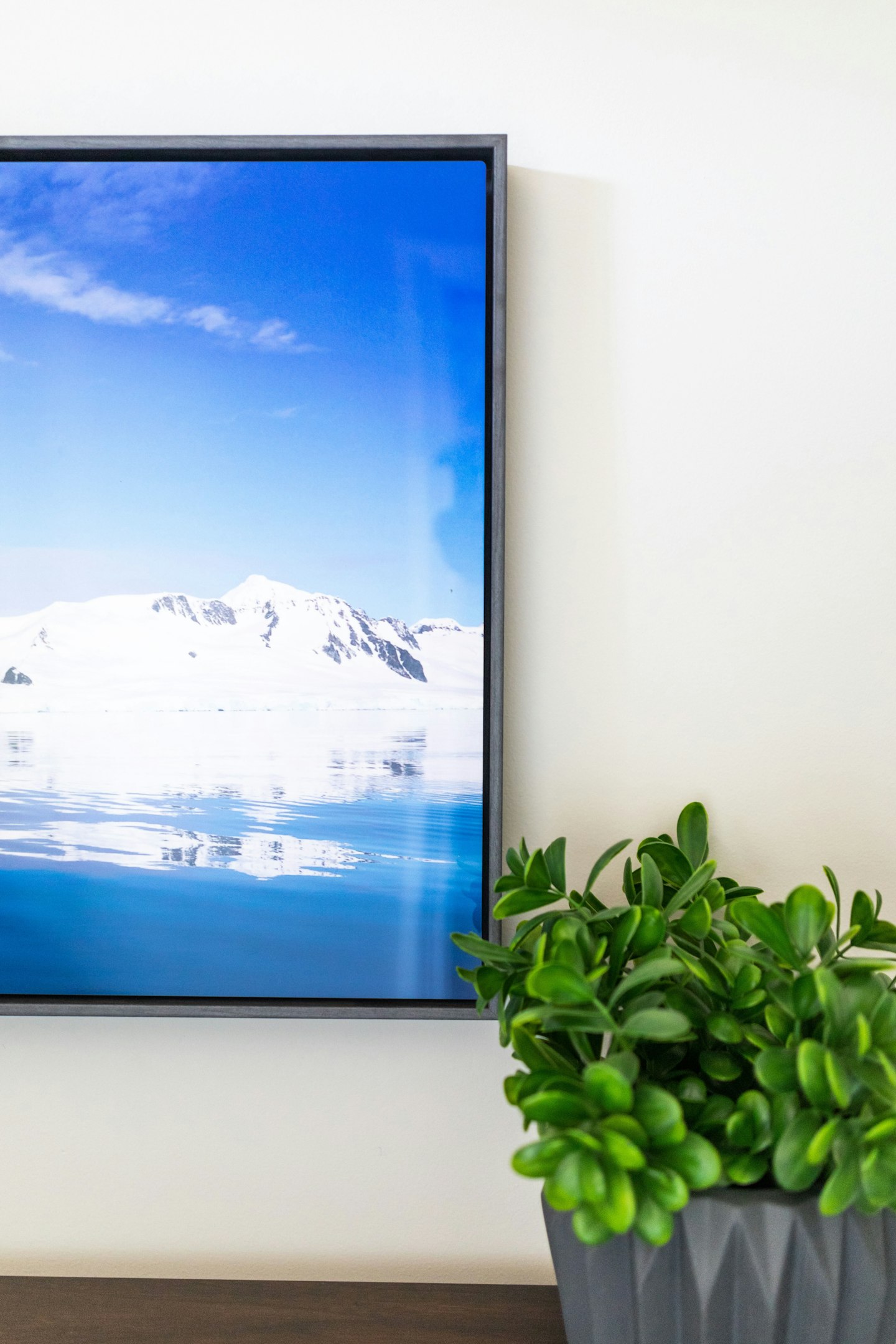 The Difference Between Metal & Acrylic Prints When It Comes to… - WHCC