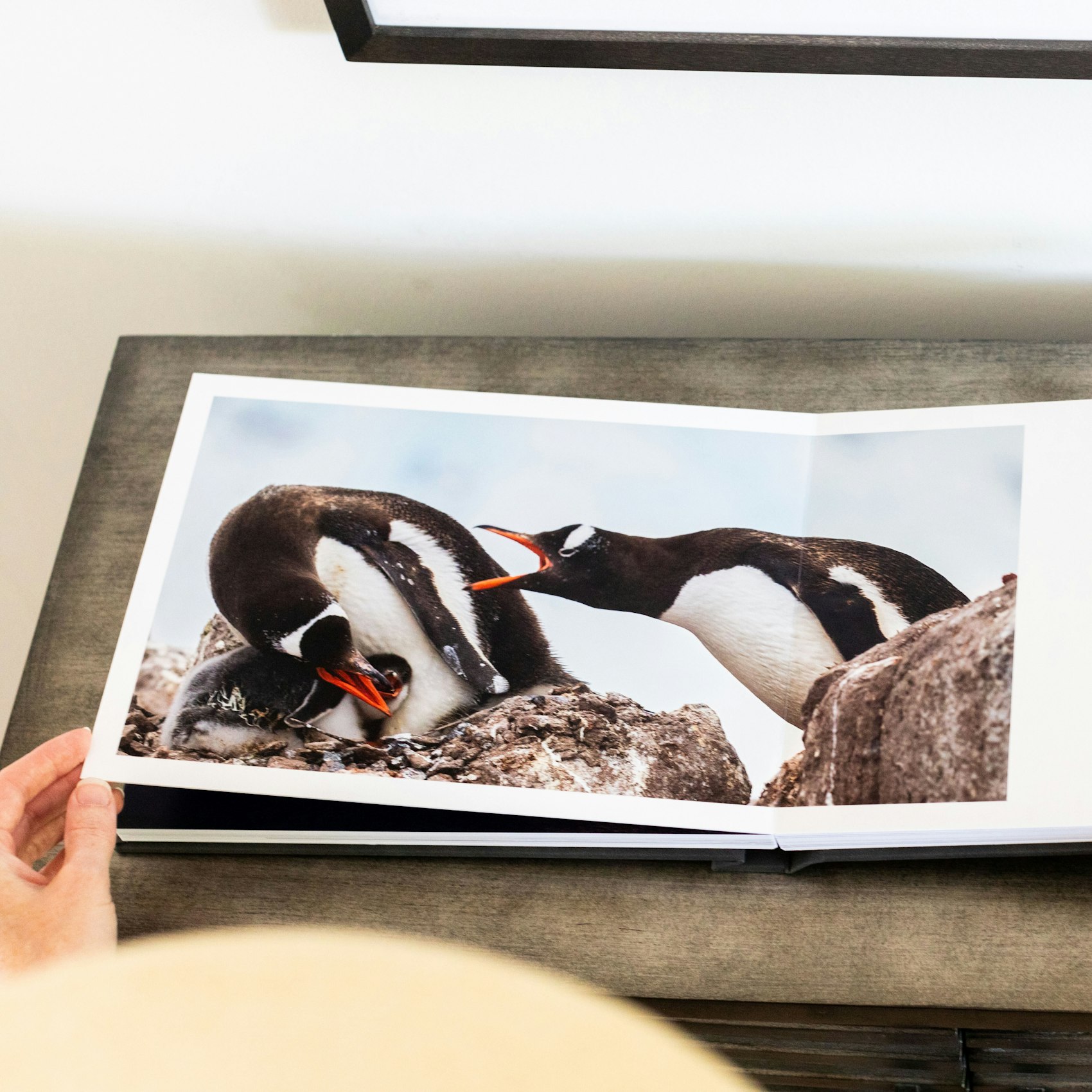 The Best Products to Display Your Nature and Landscape… - WHCC