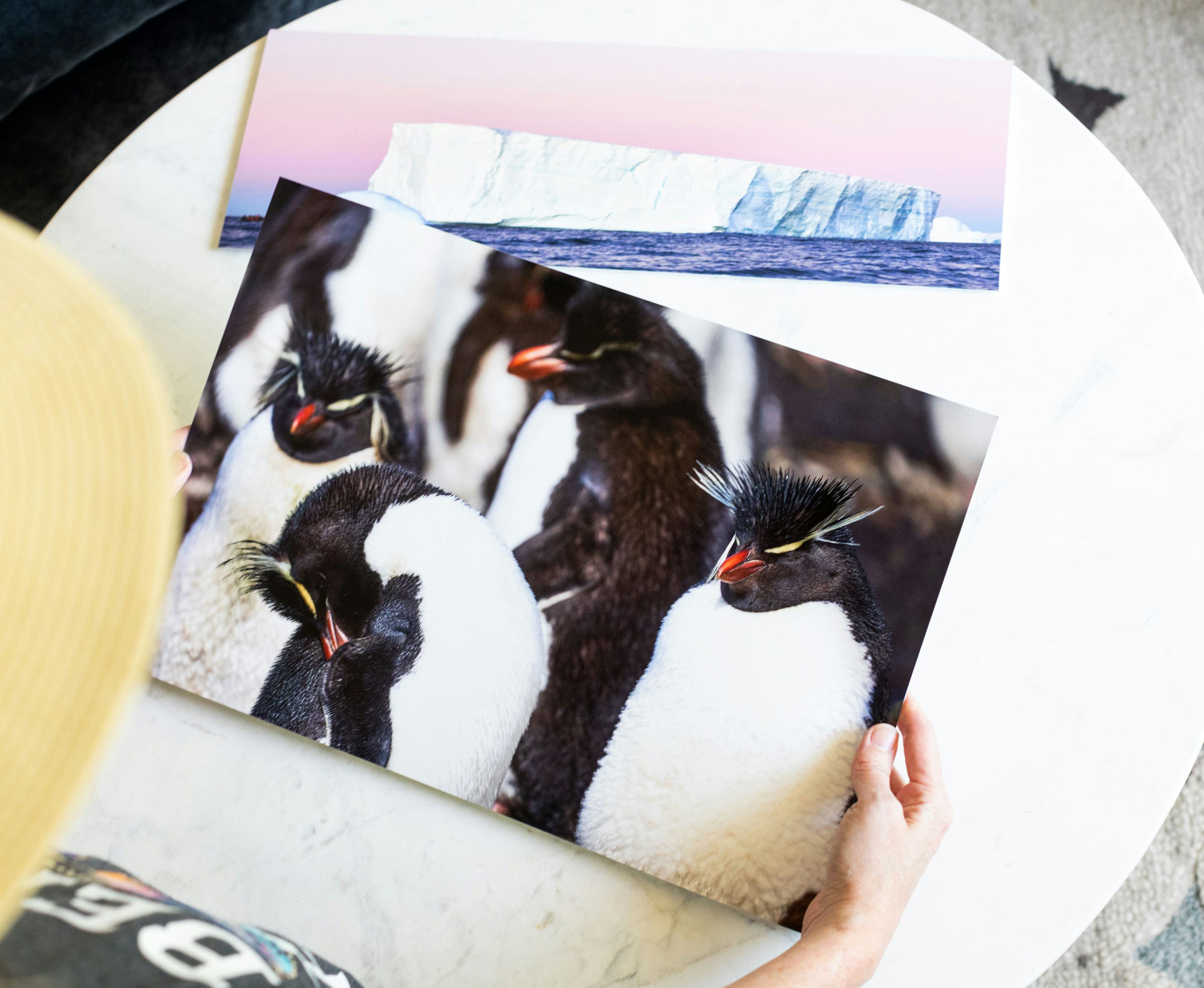 White House Custom Colour