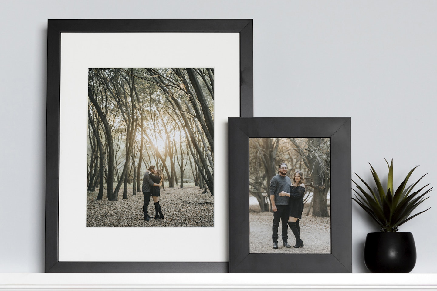 The Top 5 Frames for 2025 - WHCC