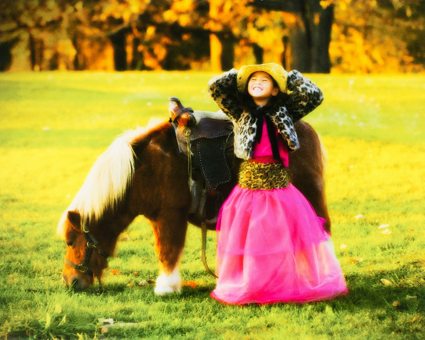 Print Surface Comparison - WHCC Help