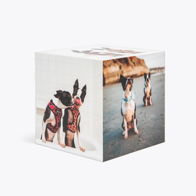 Image Cubes - Discontinued - WHCC