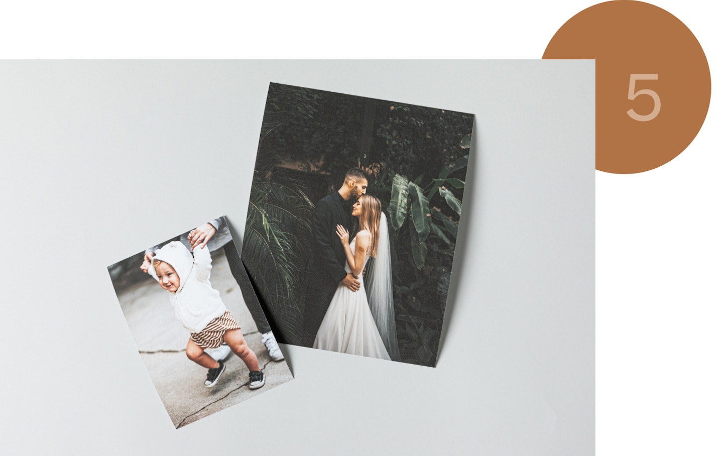 Fall Package Essentials - WHCC