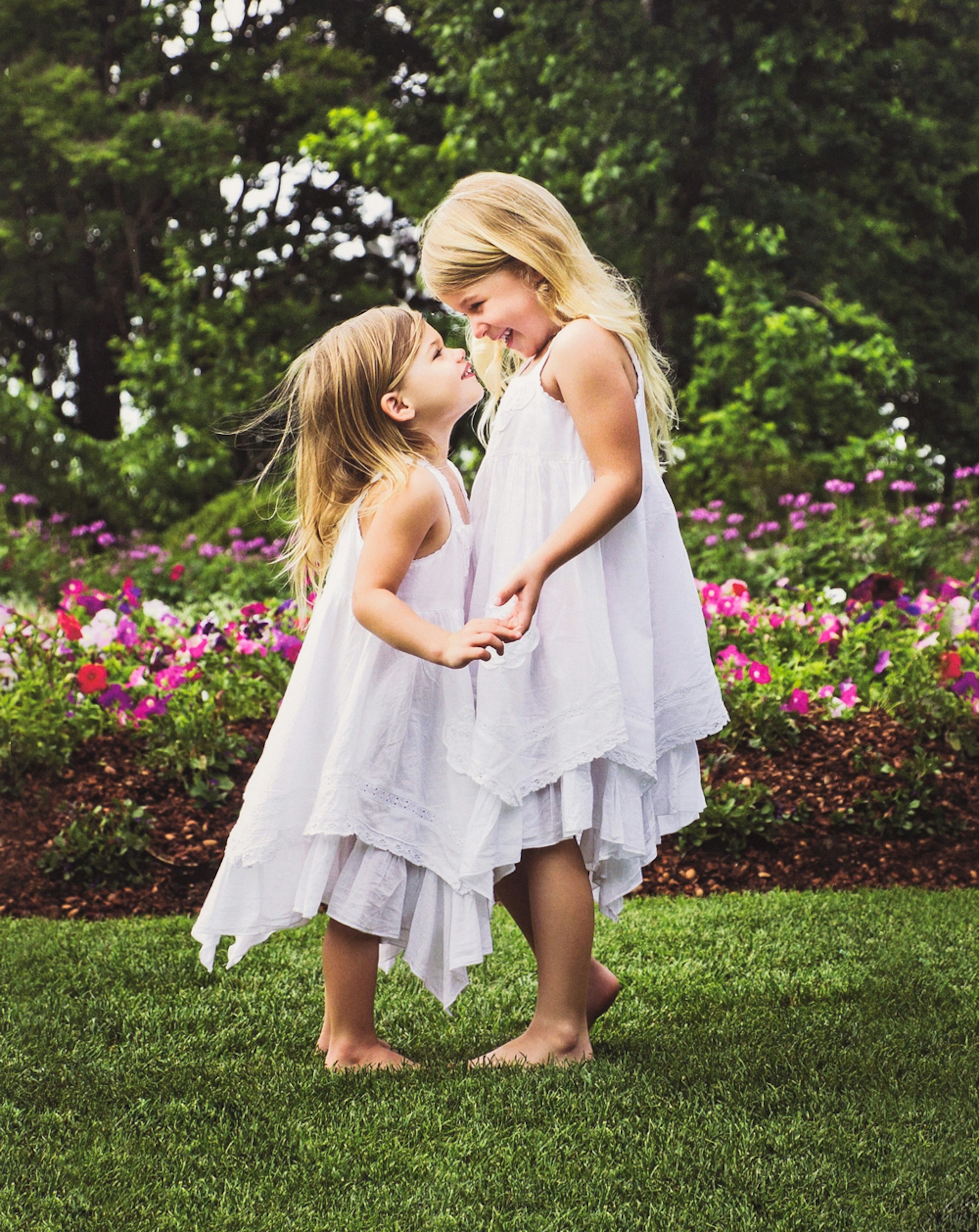 Softcover Books - WHCC