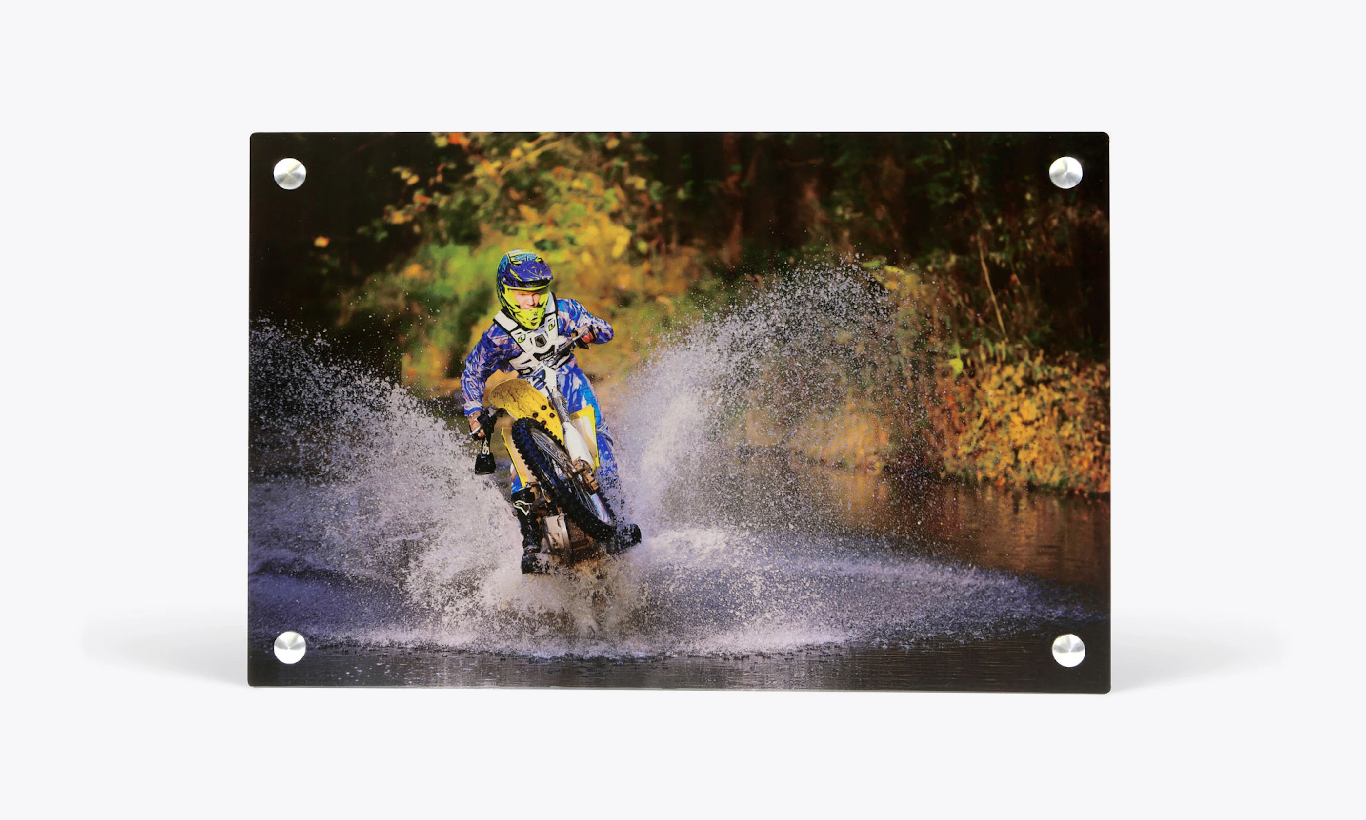 Metal Prints | WHCC