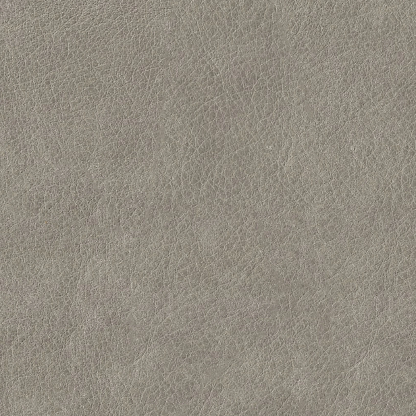 Layflat Photo Books | Seamless Spreads for Wedding & Portrait | WHCC