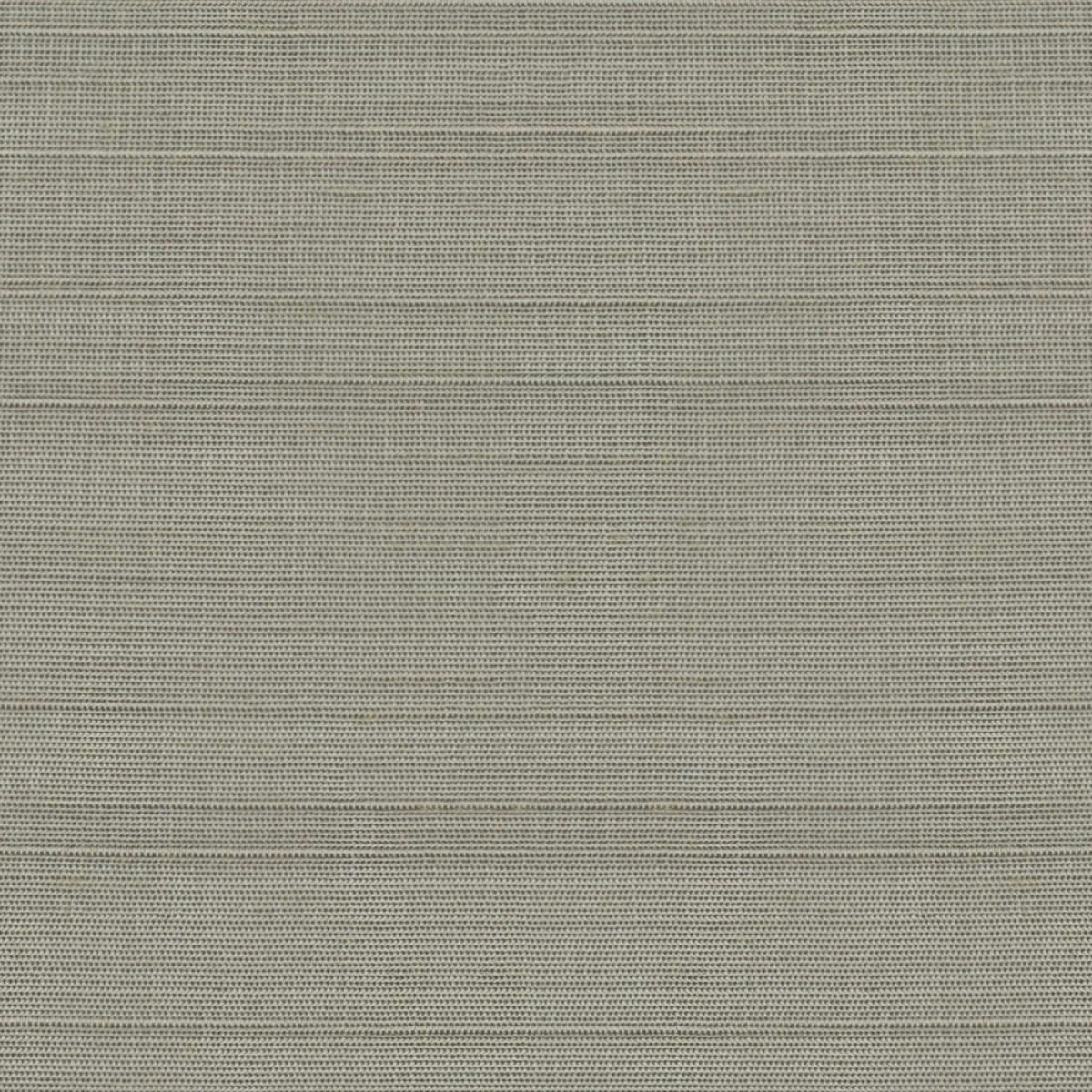 Accordion Mini Books - WHCC