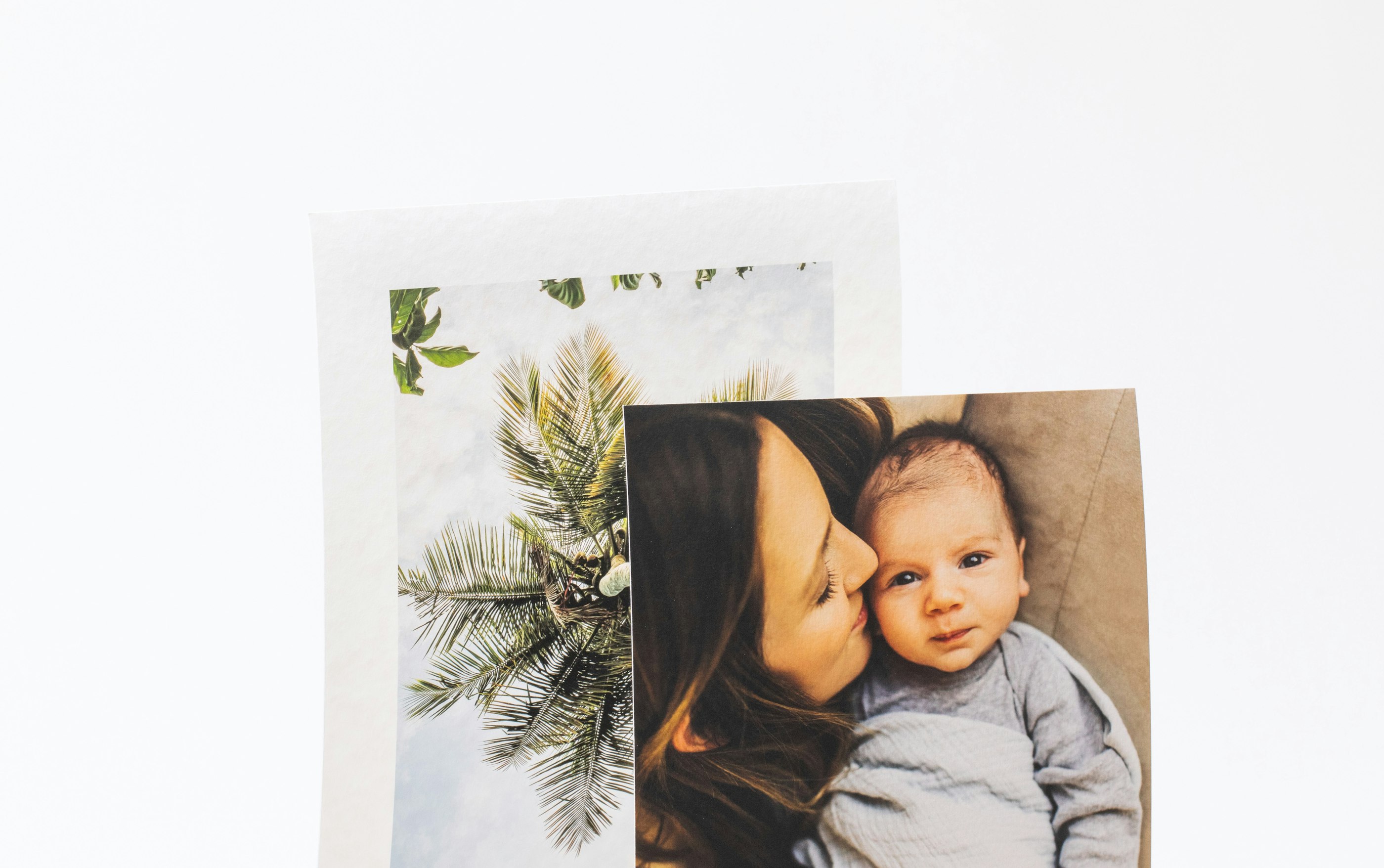 Eco-Friendly Ways to Display Your Art - WHCC