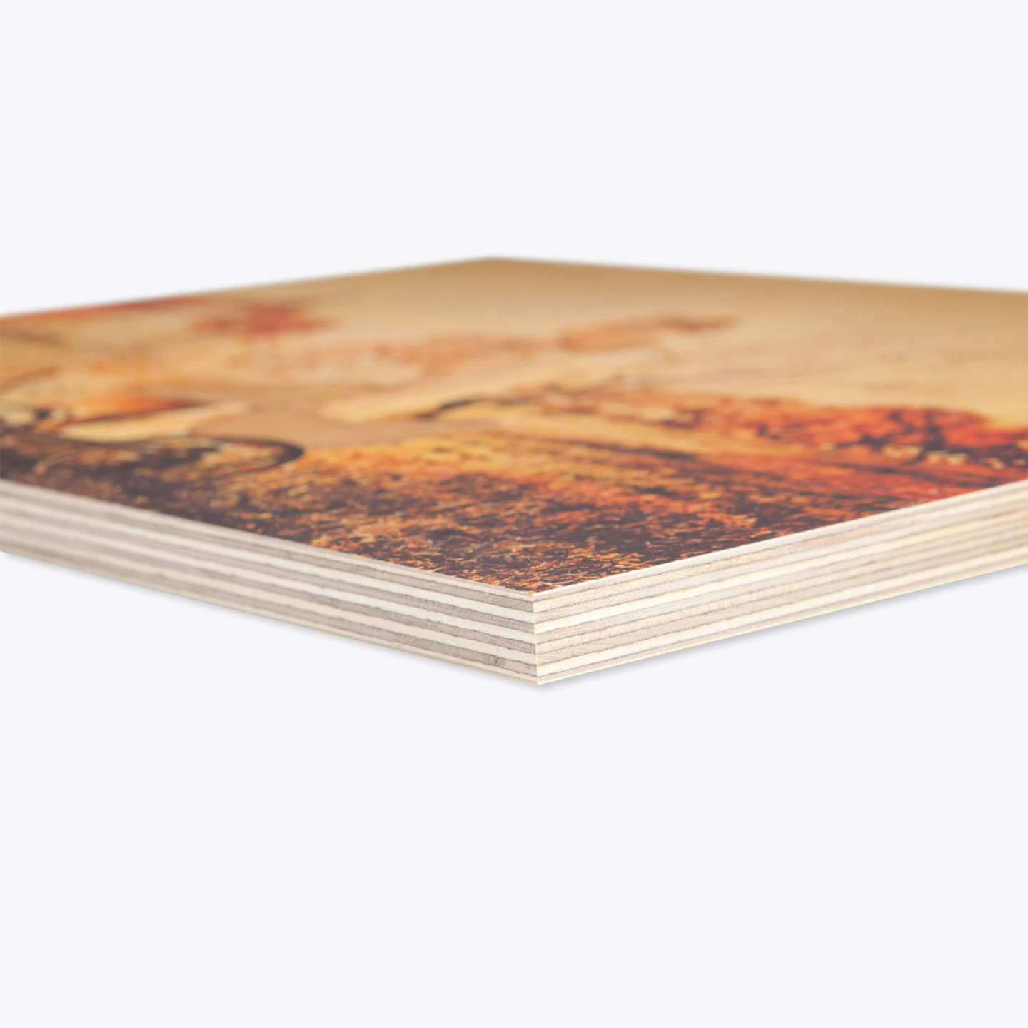 Professional Wall Art for Photographers | Canvas, Metal & Acrylic | WHCC